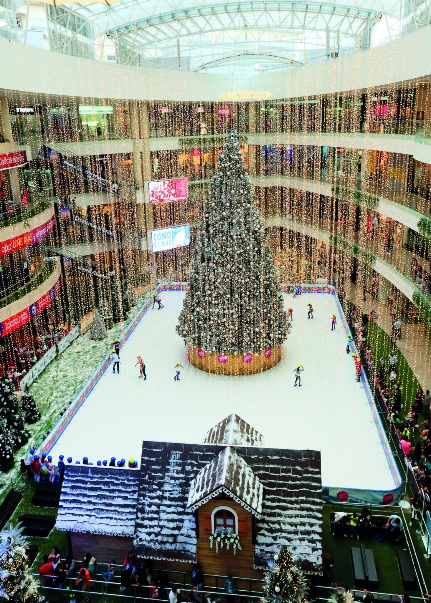 About us | Industrial Frigo Ice USA