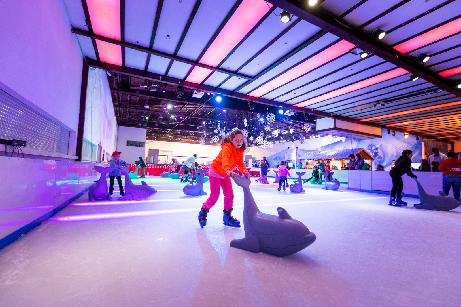 Ice Rinks | Industrial Frigo Ice USA